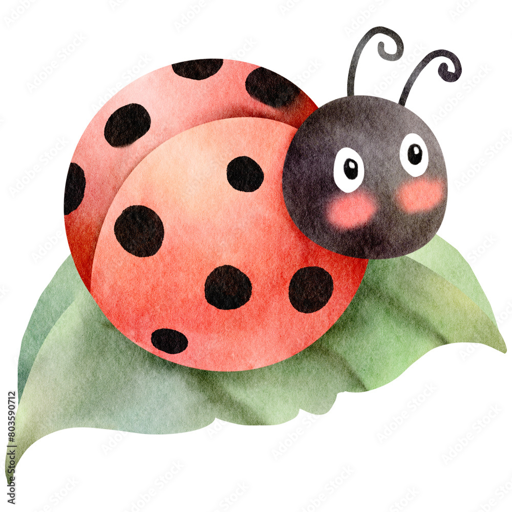Ladybug watercolor clipart-5 Stock Illustration | Adobe Stock