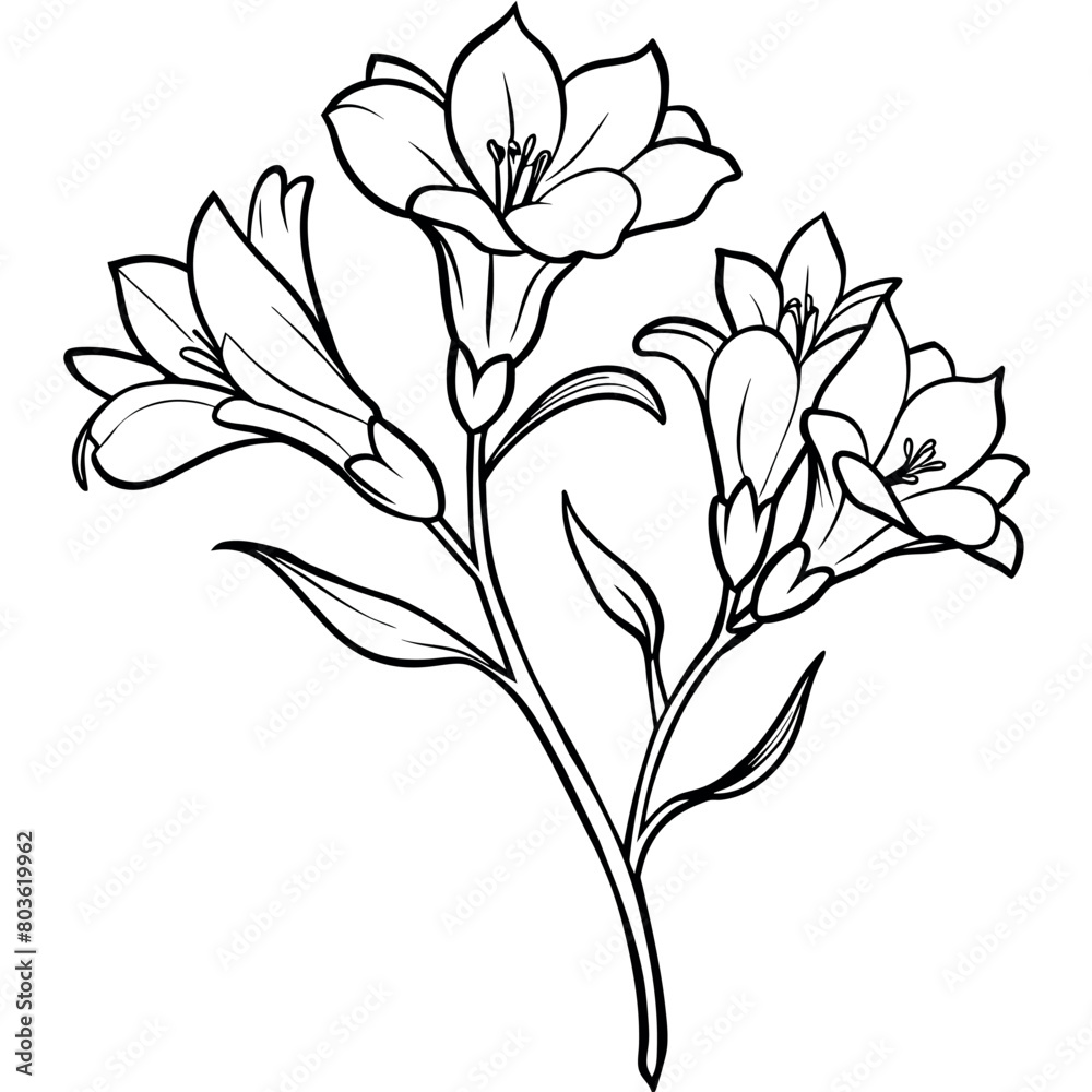 Freesia flower plant outline illustration coloring book page design ...