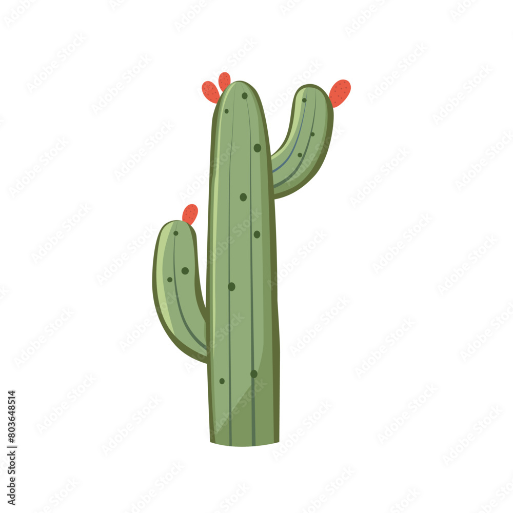 Cute cactus plant vector illustration, cacti clip art, cactuses tree ...