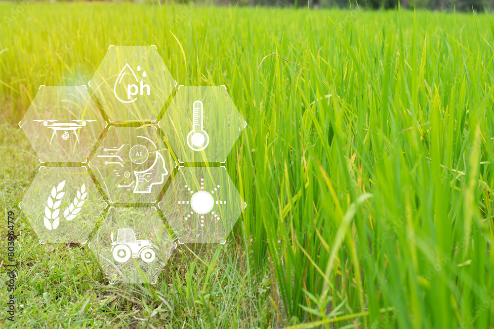 Agricultural technology concept uses AI in agricultural reading reports ...