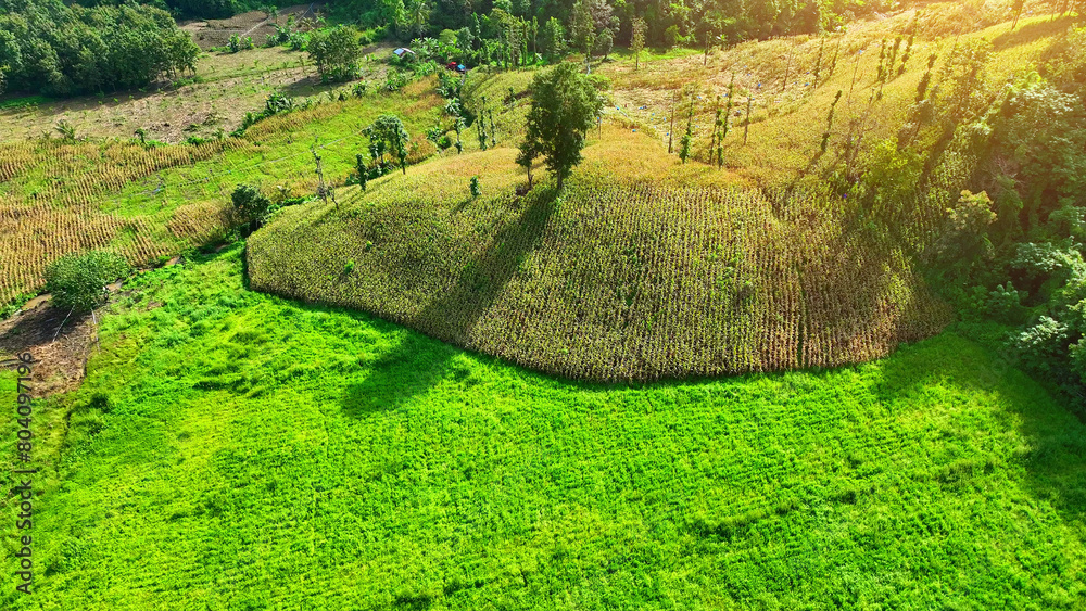 Drones provide invaluable insights into hill and plateau agriculture ...