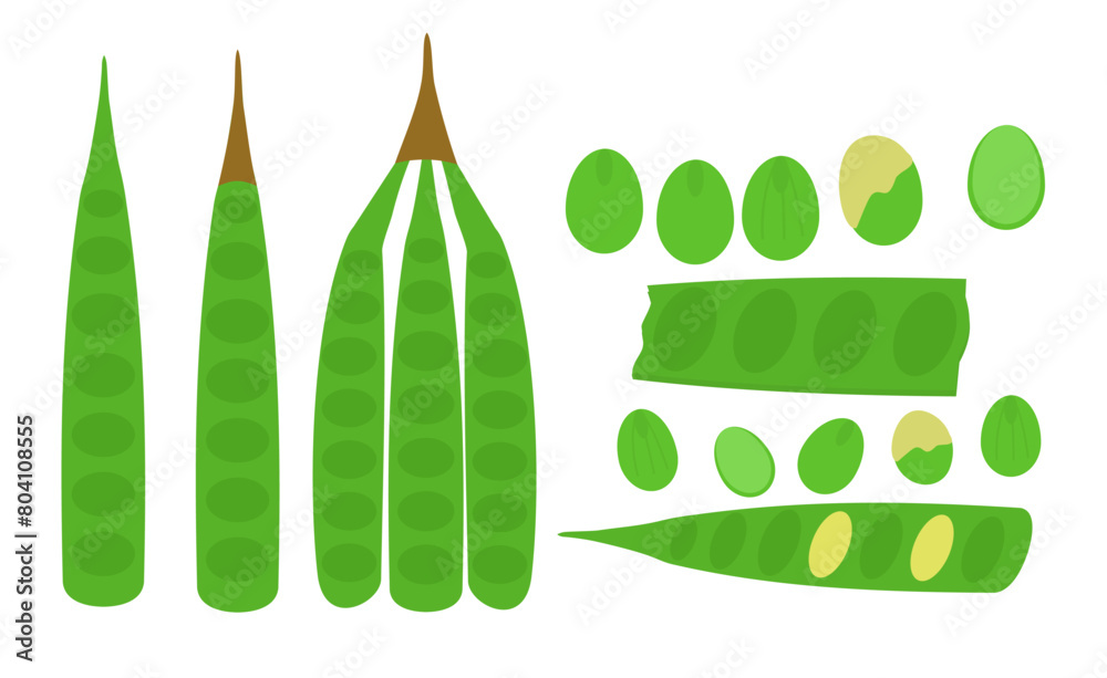 Petai or pete kupas.Parkia speciosa.Stink bean or bitter bean.Tropical ...