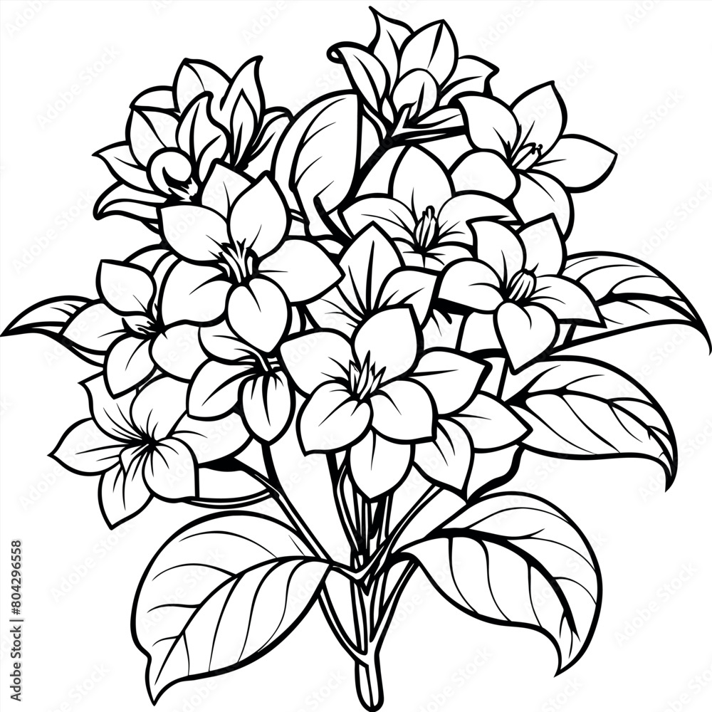 Jasmine Flower Bouquet outline illustration coloring book page design ...