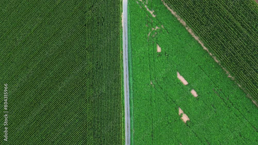 This captivating drone footage provides a unique aerial perspective of ...