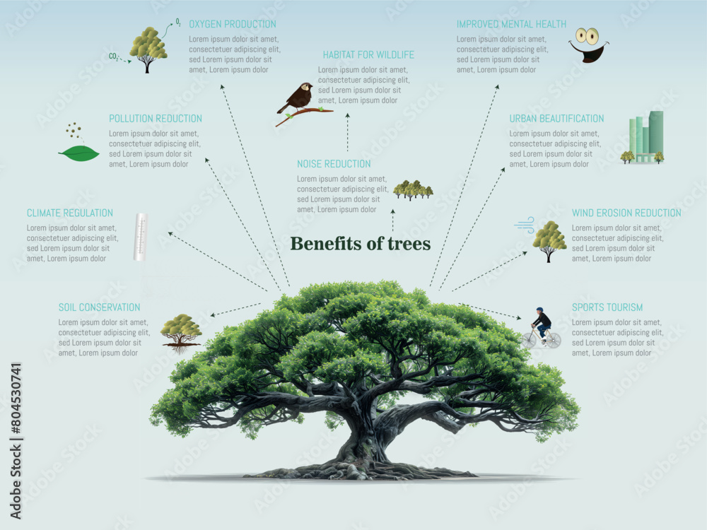 Tree infographic shows the benefits of trees. Trees provide oxygen ...