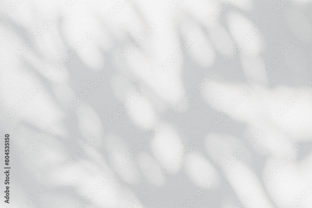 Tree shadow and leaf branch with light bokeh background. Nature leaves ...