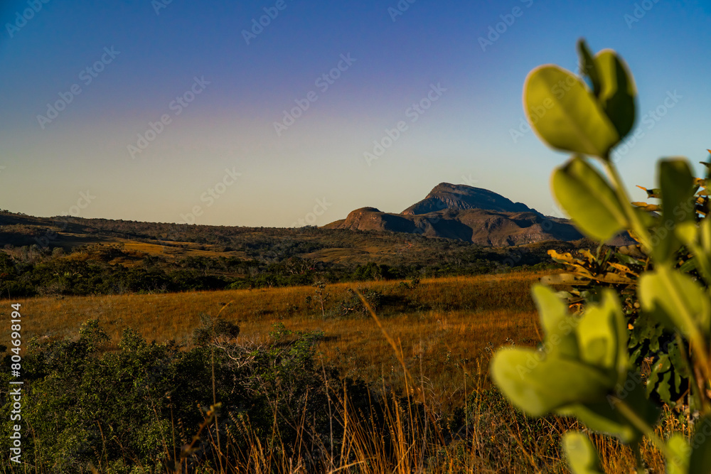 Natureza Cachoeiras Árvores Chapada dos Veadeiros Goiás Brasil Paisagem ...