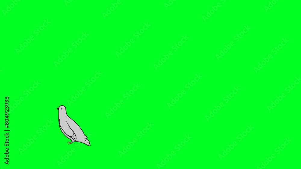 2D animated pigeon bird character flight enters, lands and sits in ...