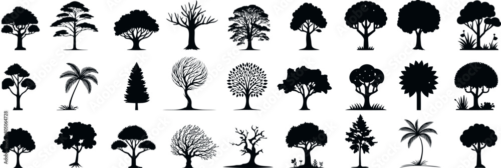 tree silhouette, diverse tree species vector illustration. Stunning ...
