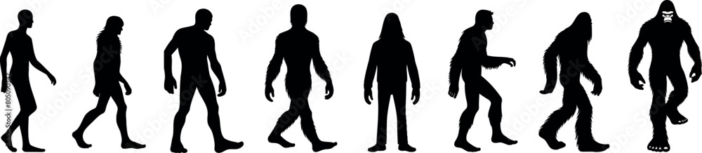 Bigfoot transformation silhouette, evolution sequence, mysterious ...