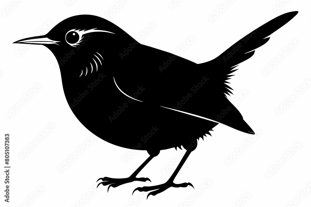Wren silhouette on white background, Vector illustration, icon, svg ...