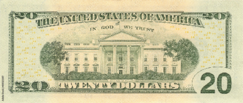 Vector reverse high polygonal pixel mosaic banknote of United States of ...