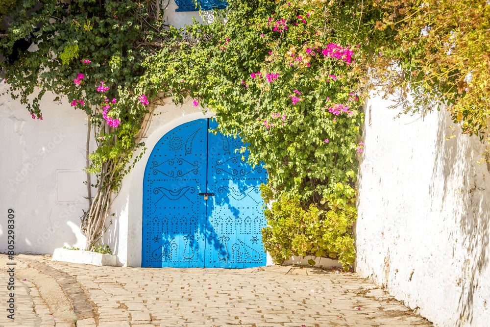 The village of Sidi Bou Said, Carthage, Tunisia Stock Photo | Adobe Stock