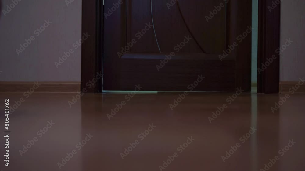 Woman goes to open door in room on tiptoe late at night scared to make ...