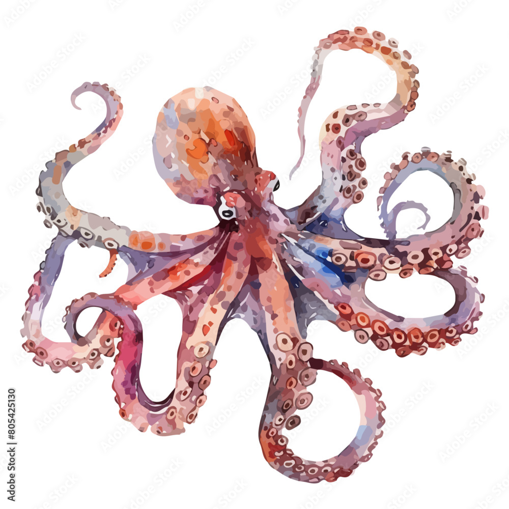 Watercolor Vector painting of a octopus, isolated on a white background ...