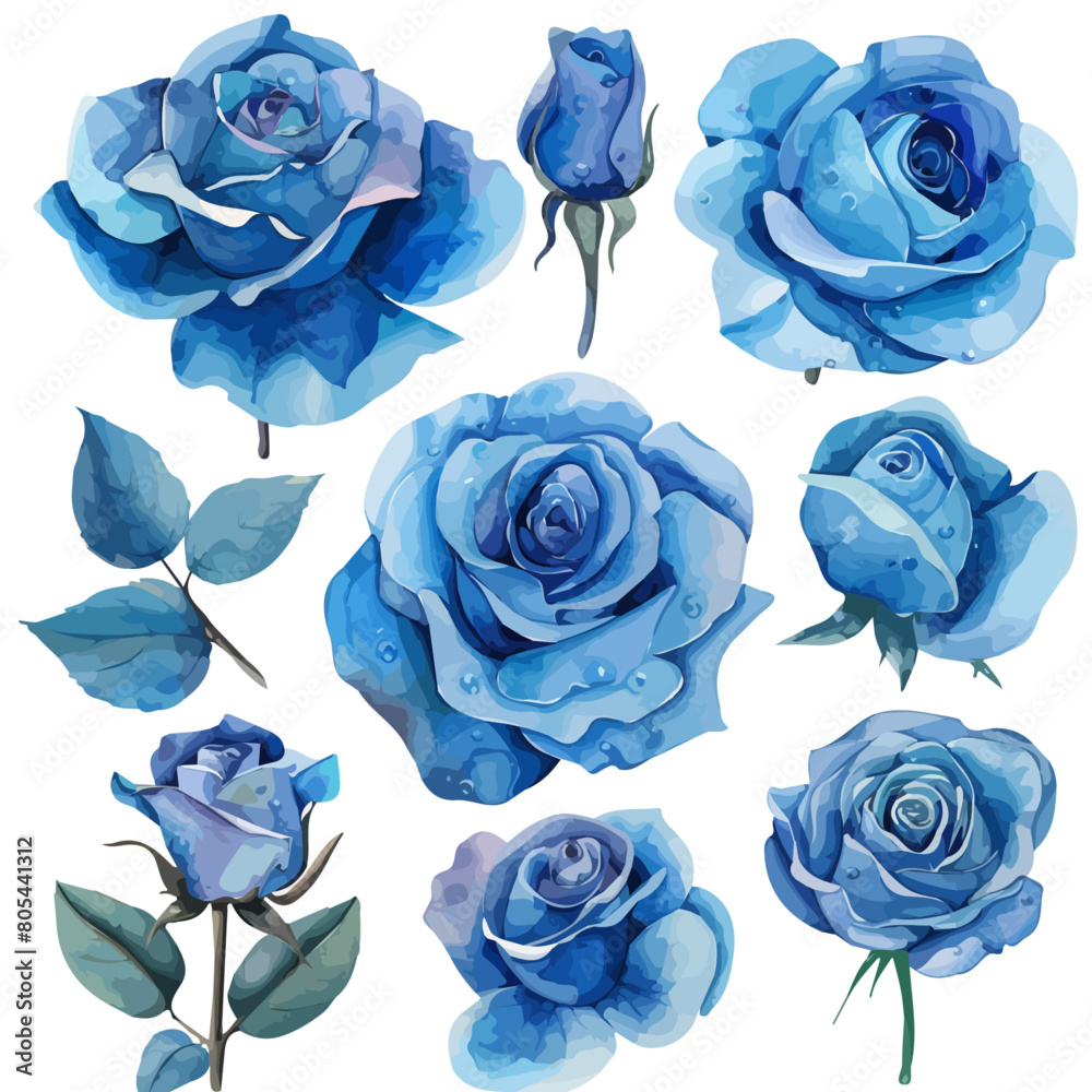 Watercolor vector of a blue rose, isolated on a white background ...