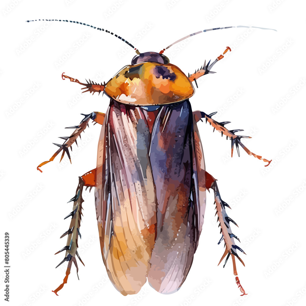 Watercolor Illustration of a cockroach Insect, isolated on a white ...