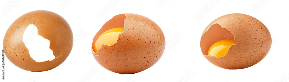 Set of Realistic farm chicken egg broken, hatching chick stages. Cracked eggs with eggshell ...