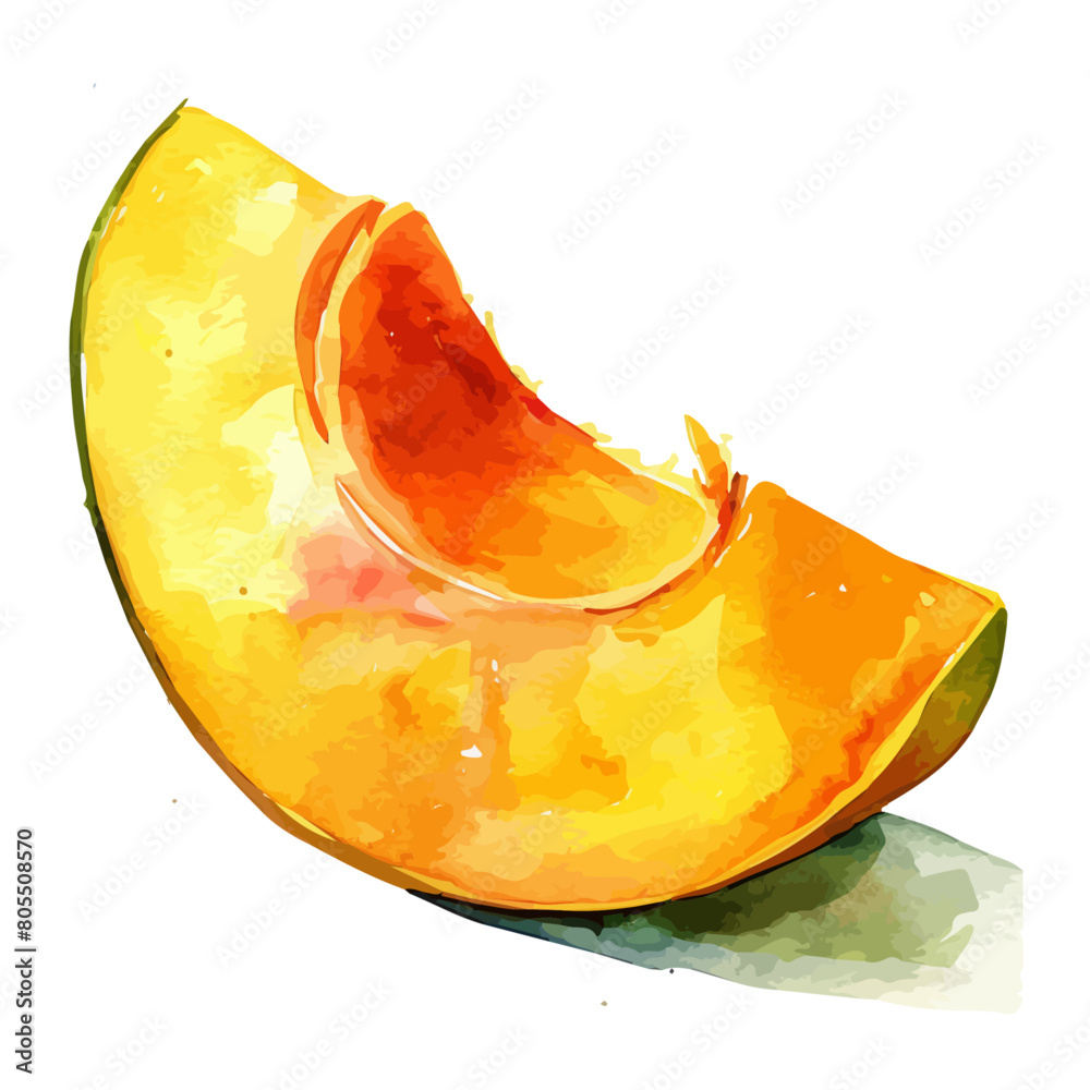 Vecteur Stock Watercolor drawing of a mango fruit, isolated on a white ...