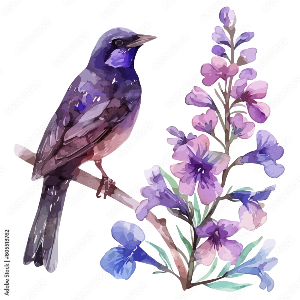 Vecteur Stock Watercolor drawing clipart of a nightingale with ...