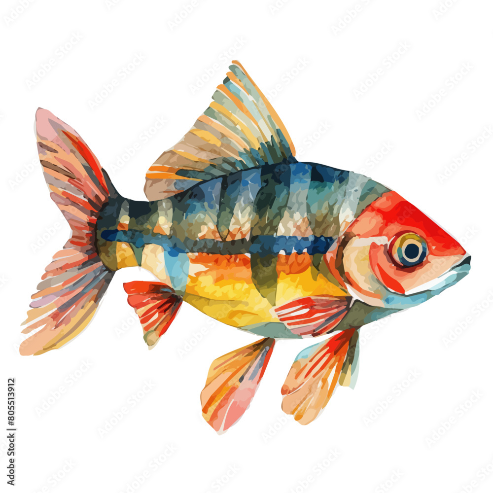 Watercolor drawing of a tiger barb fish, isolated on a white background ...
