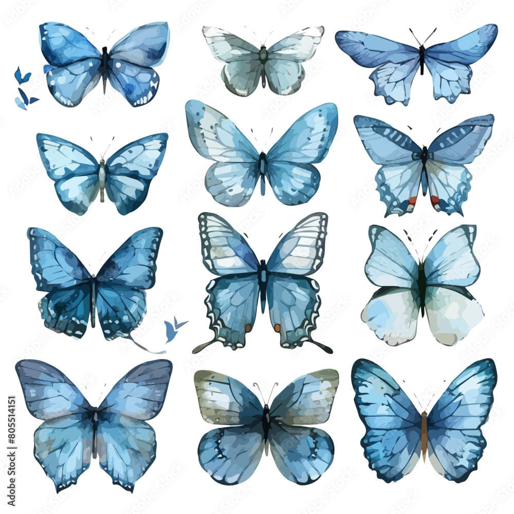 Watercolor Vector painting of blue butterfly, isolated on a white ...