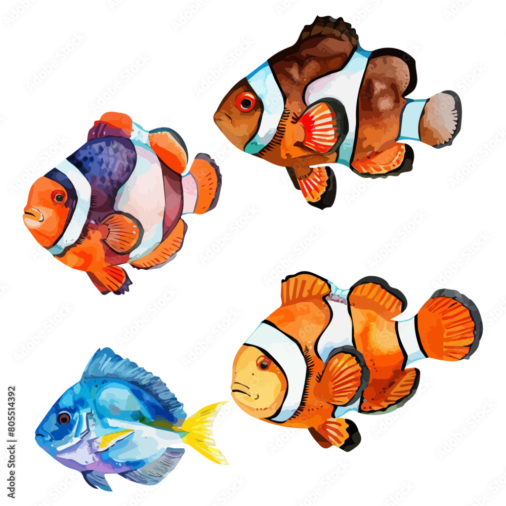 Watercolor drawing of a Clownfish, isolated on a white background ...