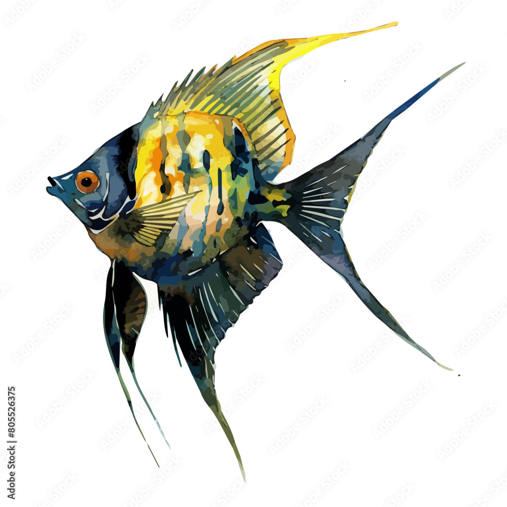 Watercolor painting of a angel fish, isolated on a white background ...