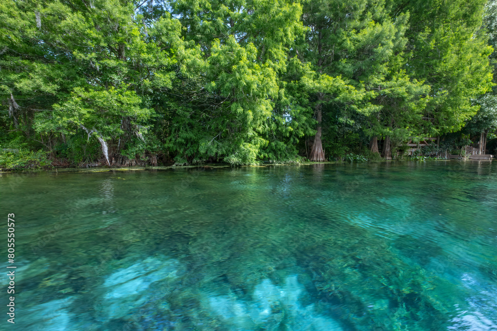 Silver River, Silver Springs State Park, Florida Stock Photo | Adobe Stock