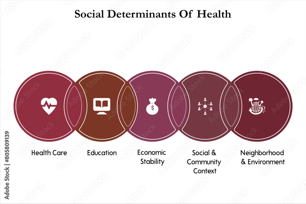 Five aspects of Social Determinants of health - Health Care, Education ...