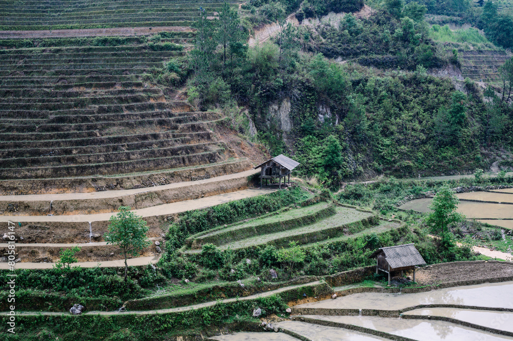 Rice Terraces in La Pan Tan, Mu Cang Chai, Yen Bai, Vietnam, Epic and ...
