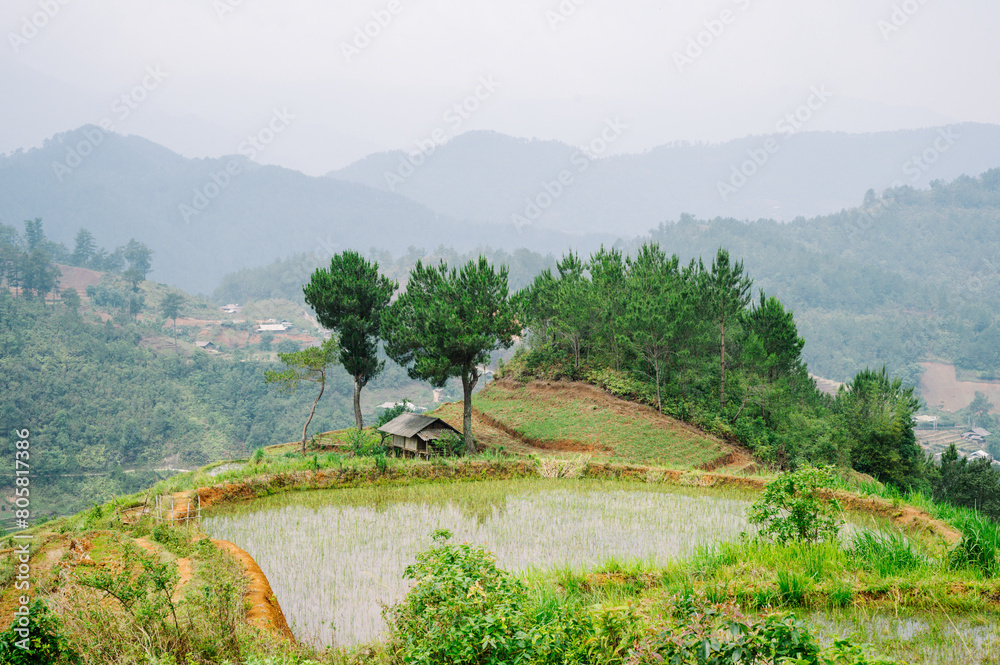 Rice Terraces in La Pan Tan, Mu Cang Chai, Yen Bai, Vietnam, Epic and ...