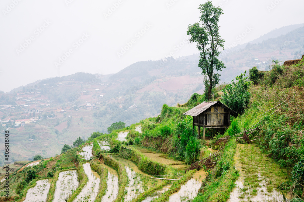 Rice Terraces in La Pan Tan, Mu Cang Chai, Yen Bai, Vietnam, Epic and ...