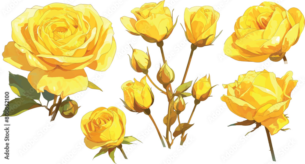 yellow rose clipart vector for graphic resources Stock Vector | Adobe Stock