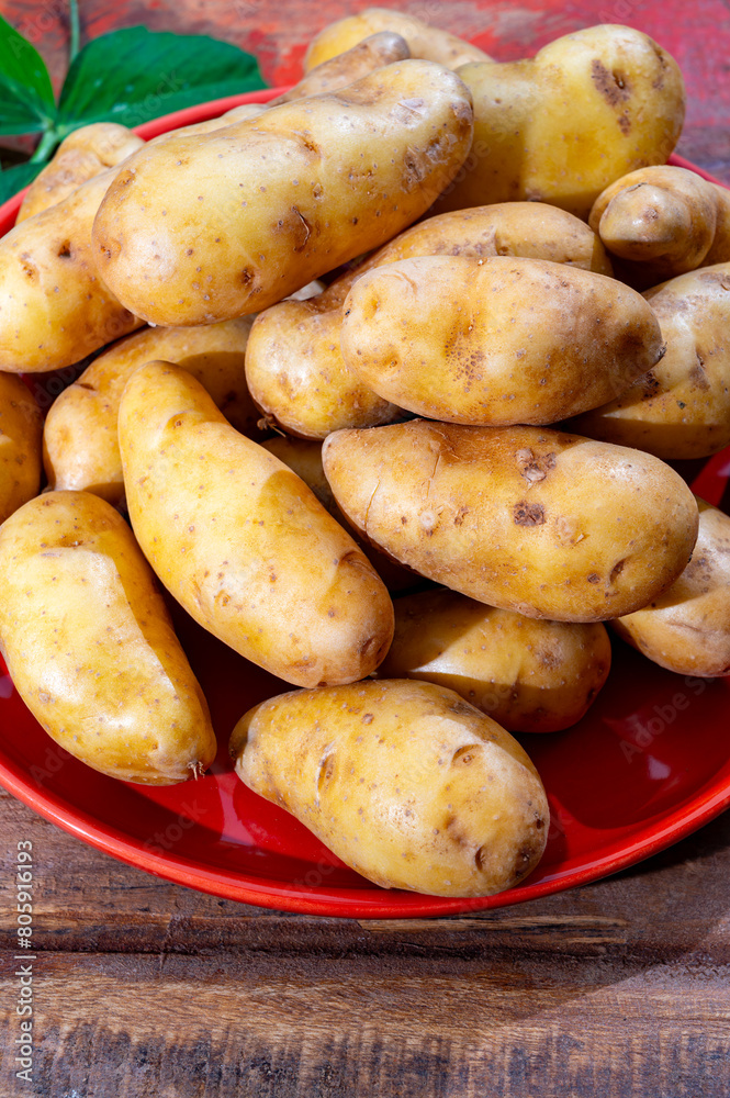 Ratte potato, La Ratte, La Reine Ratte du Touquet, or Asparges small ...