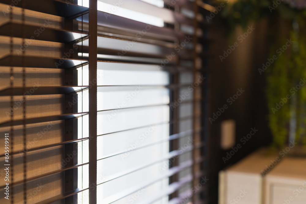 Windows roller blinds home interior design element window detail wooden ...