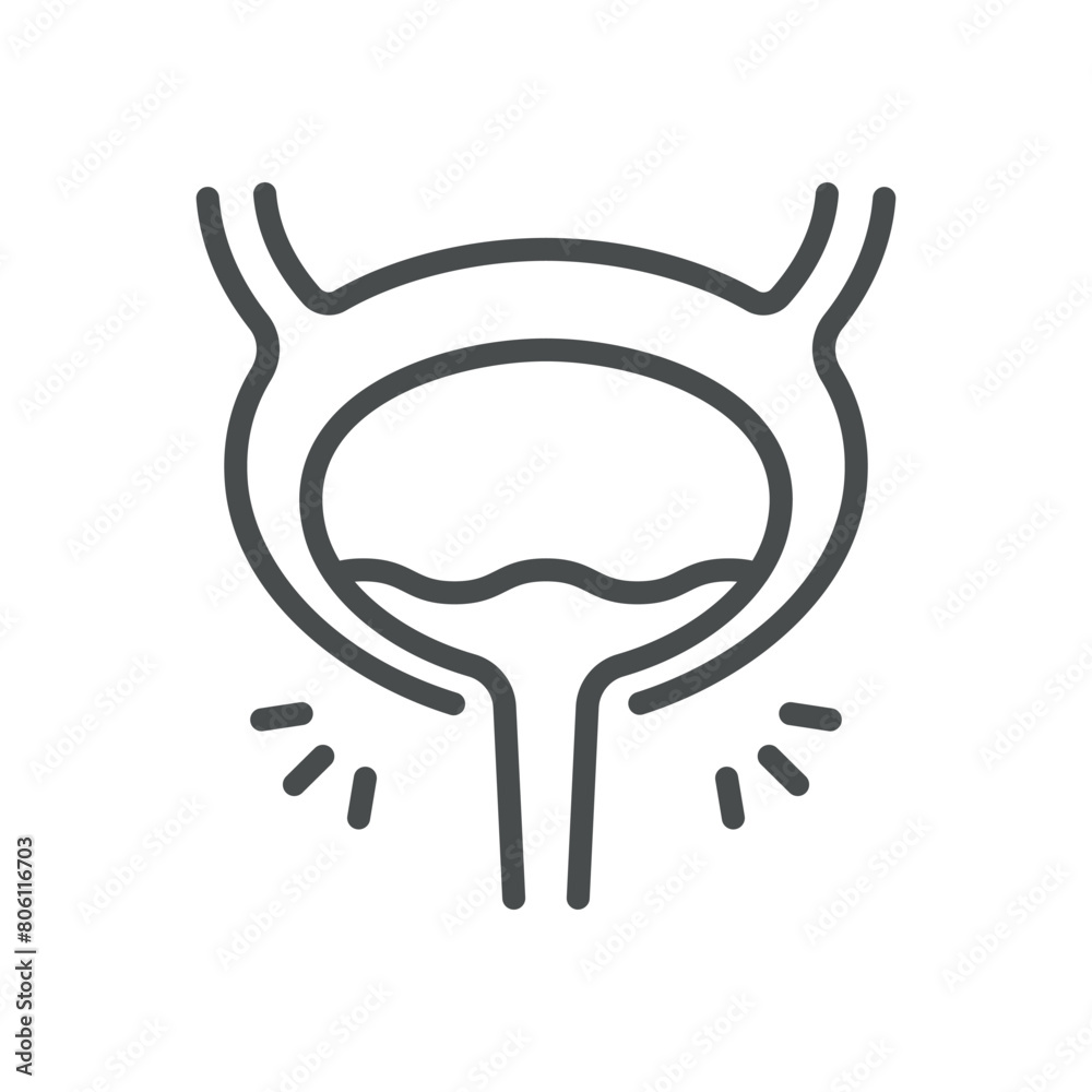 Overactive Bladder Icon. Line Vector Illustration of Bladder with ...