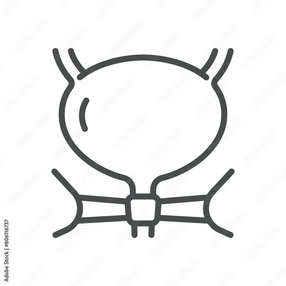 Pelvic Floor Muscles and Bladder Icon. Line Vector Illustration of ...