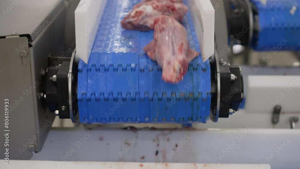 Meat on a conveyor belt, meat production. Cut-up chicken carcasses are ...