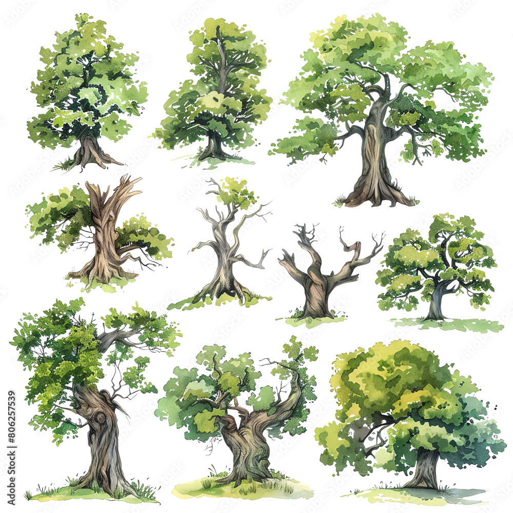 Ten different types of trees, all in a cartoon style. The trees are all ...