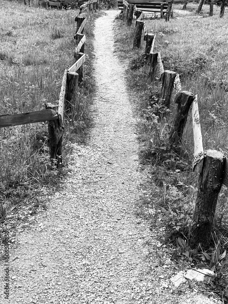Old stone path with a rotten wooden fence, black and white picture ...