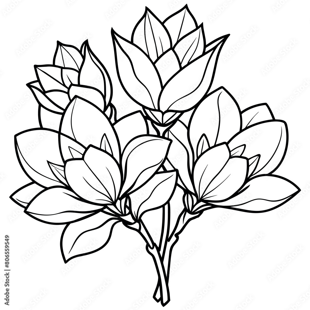 Magnolia Flower outline illustration coloring book page design ...