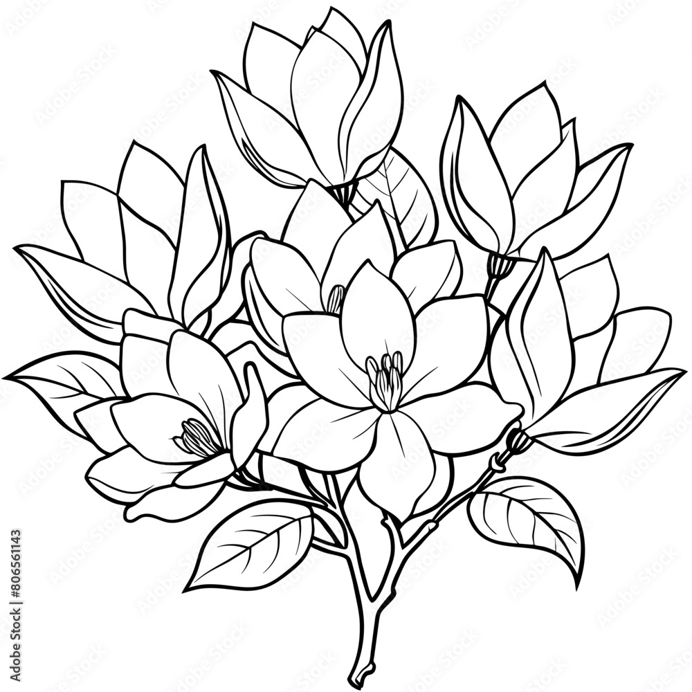 Magnolia Flower outline illustration coloring book page design ...