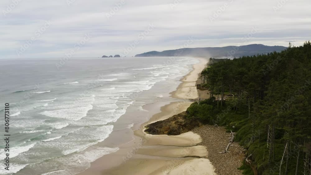 Ocean spray rises on beach with tall conifer trees at Cape Lookout ...