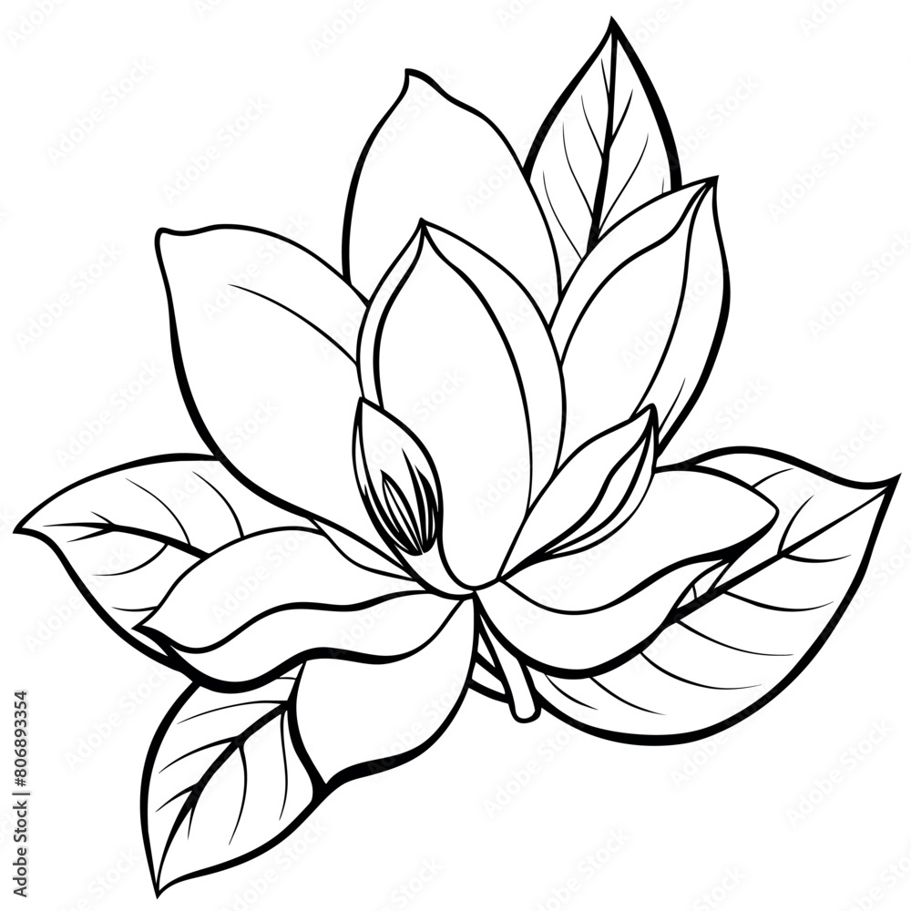 Magnolia flower outline illustration coloring book page design,Magnolia ...