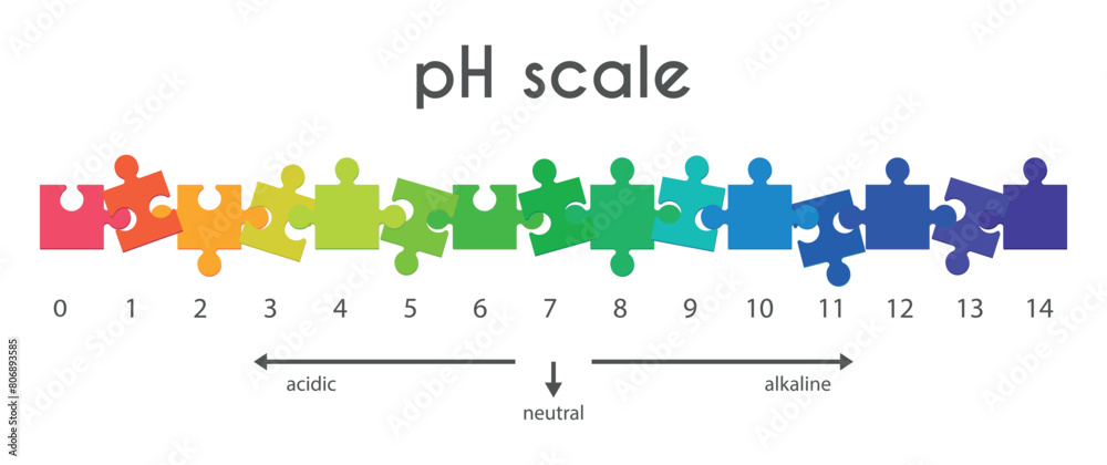 Scale of pH values for acid-base solution in form of puzzles ...