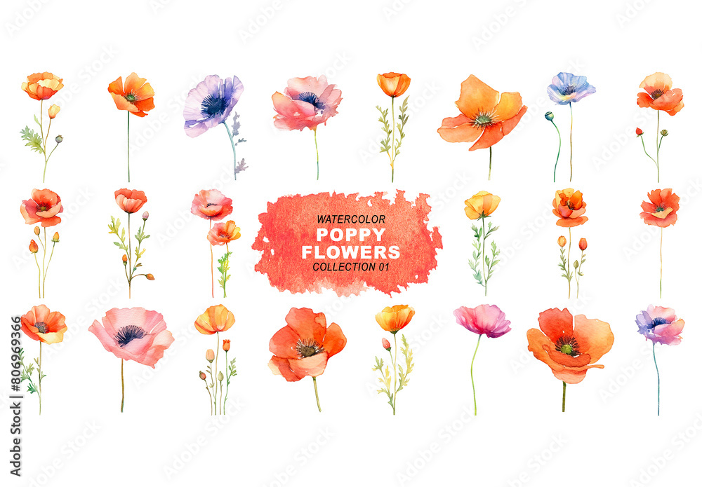 Watercolor painted style - poppy flowers clipart isolated on ...