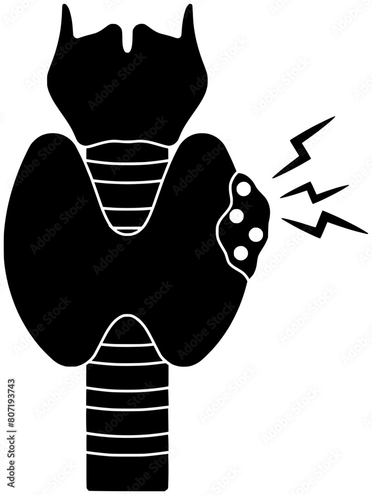 biology illustration anatomy silhouette thyroid logo structure icon ...