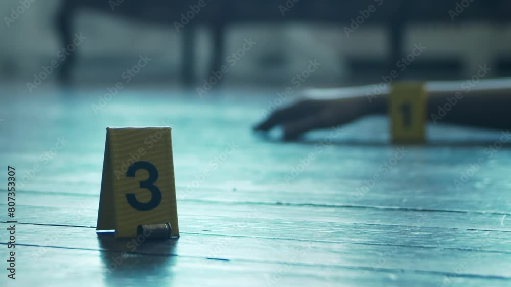 Closeup of a Crime Scene in a Deceased Person's Home. Dead man, Police ...