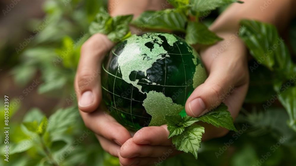 Nature Conservation, the preservation of nature with compelling stock ...